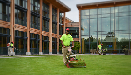 Commercial - Freeman Landscaping